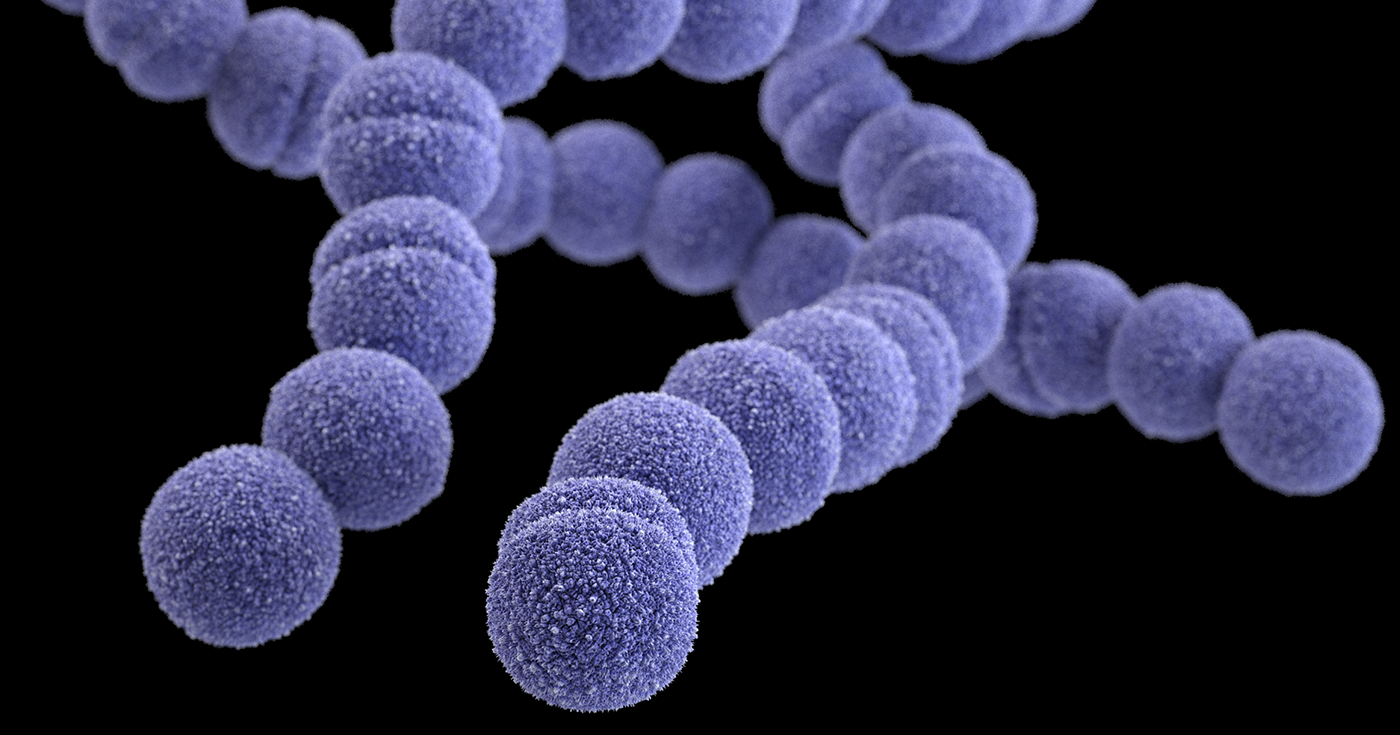 On Side Restoration — Bacteria and Viruses: Learn More.